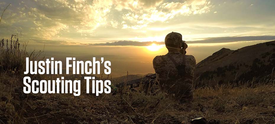 Justin Finch's Scouting Tips – Kings Camo