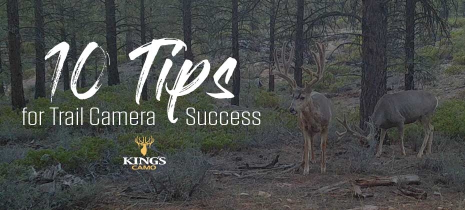 10 Trail Camera Tips for Success | King's Camo – Kings Camo